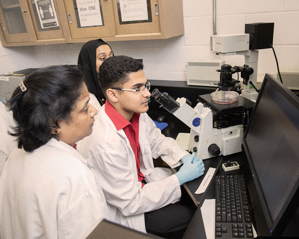 Biology, Minor | Brooklyn College