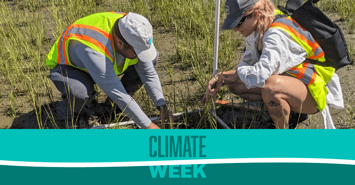 Faculty Help Lead Statewide Symposium to Advance Nature-Based Climate ...