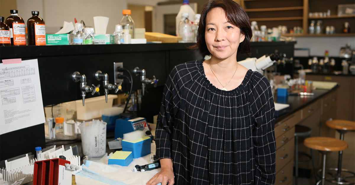 Amy E. Ikui | Brooklyn College