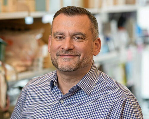 A Stellar Board | Brooklyn College