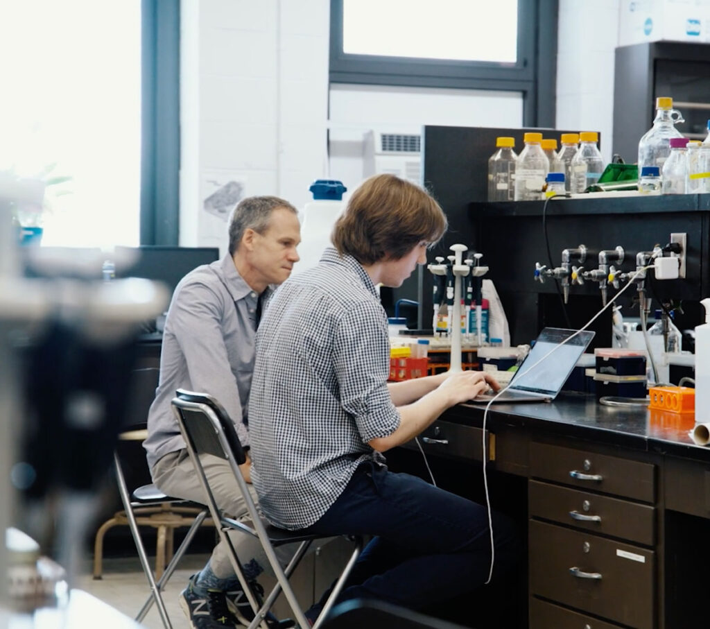 Mentorship | Brooklyn College